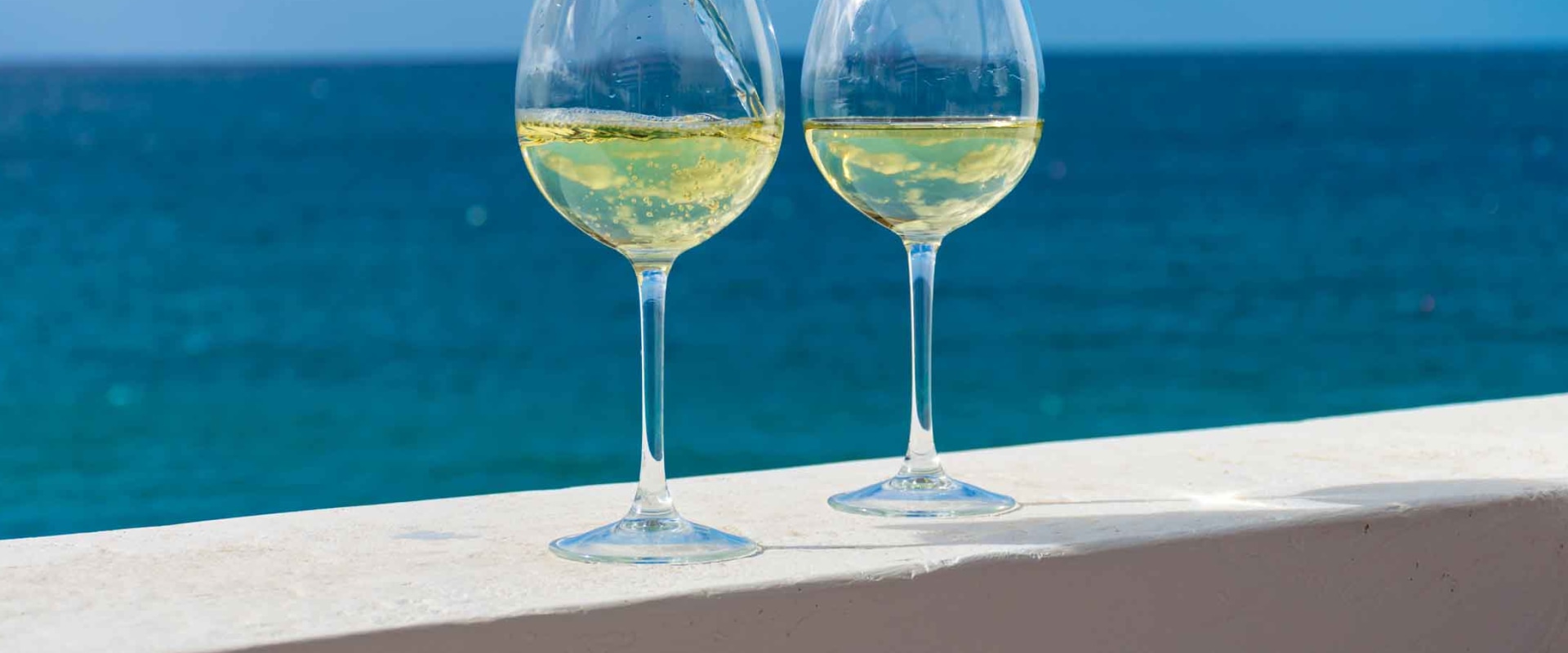 Exploring the Finest White Wines of Central Florida Wineries