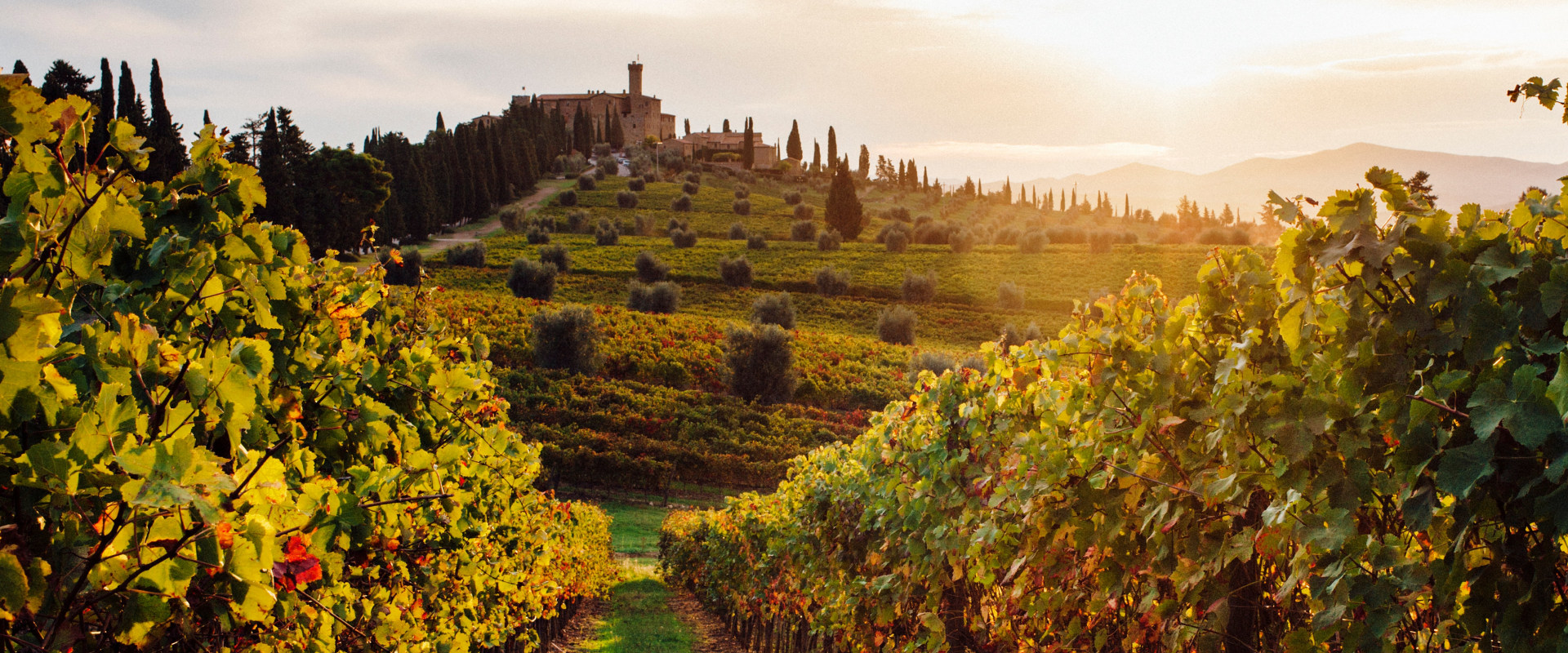 What is the Difference Between a Winery and a Tasting Room? - An Expert ...